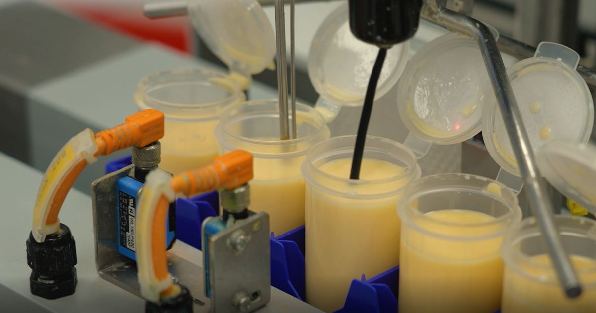 Hva skjer med dine melkeprøver på laboratoriet? | TINE Medlem