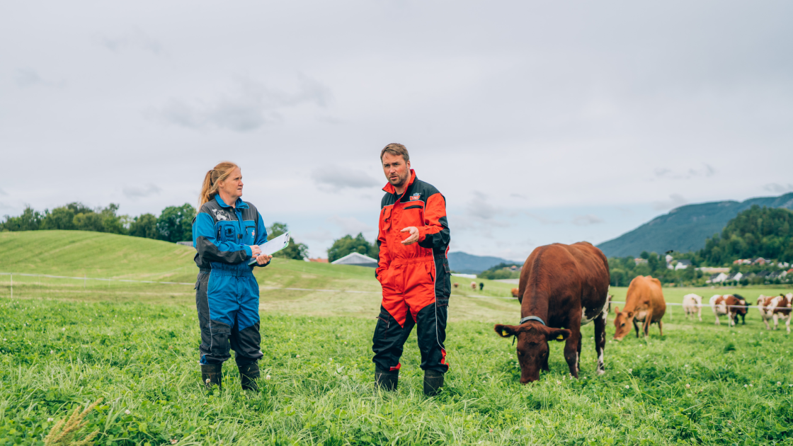 Forside | TINE Medlem