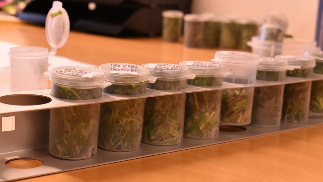 Forside | TINE Medlem